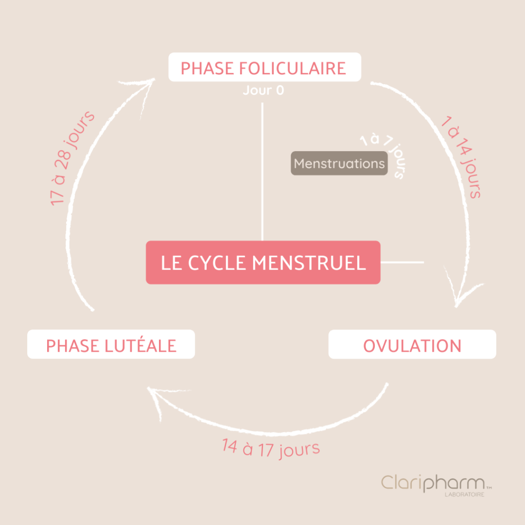 How Does Period Cycle Work